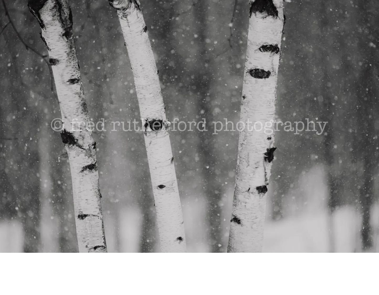 Fred Rutherford Photography - Quinte Arts Council