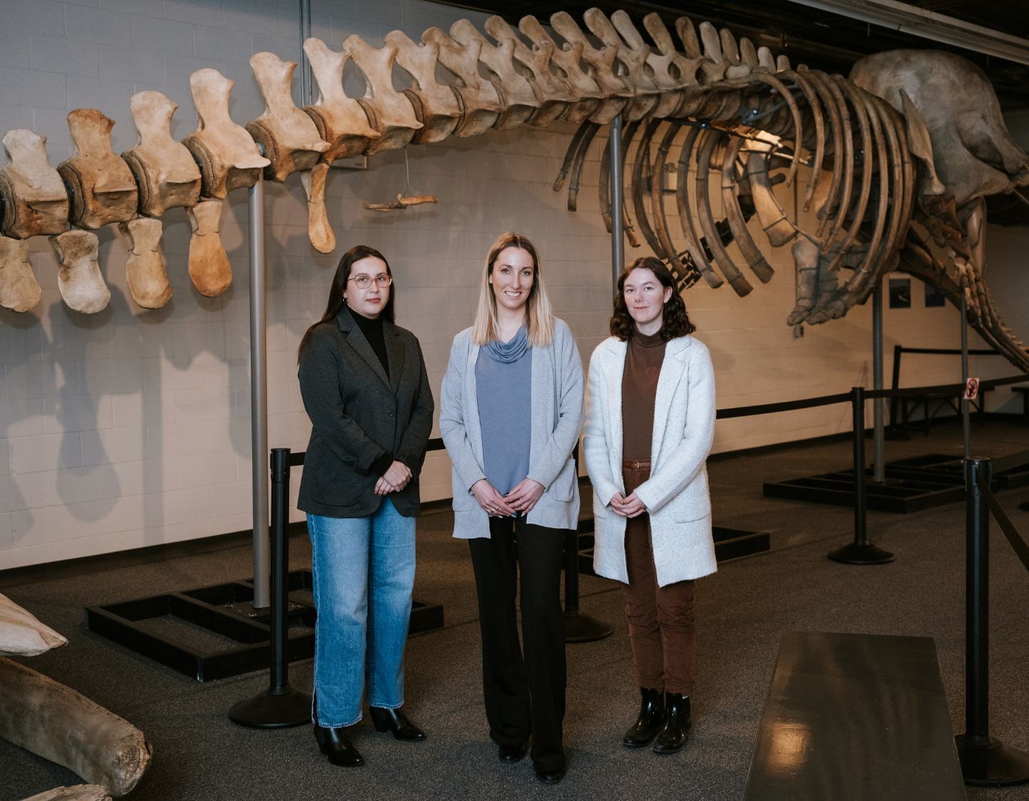 Quinte Museum of Natural History - Quinte Arts Council